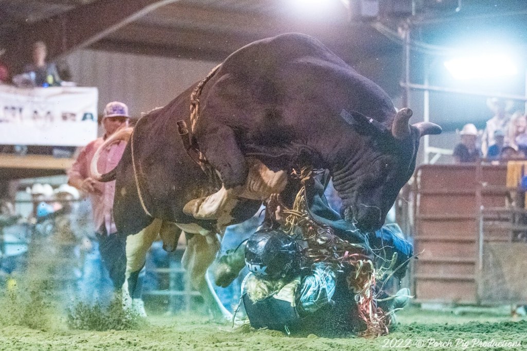 2022 Race Album| National Championship Chuckwagon Races | Bar of Ranch ...