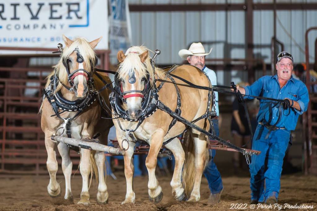 2022 Race Album| National Championship Chuckwagon Races | Bar of Ranch ...