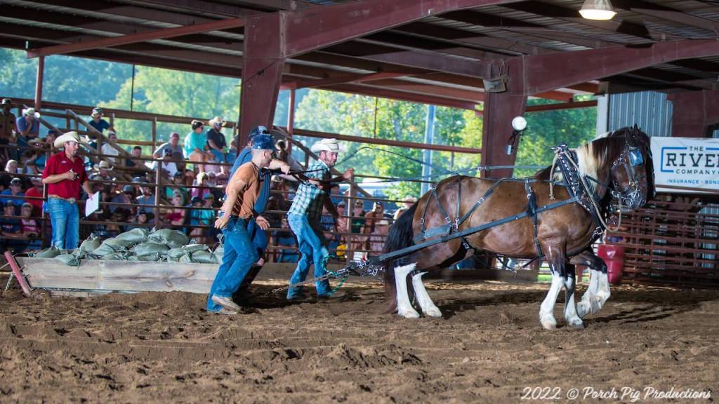 2022 Race Album| National Championship Chuckwagon Races | Bar of Ranch ...