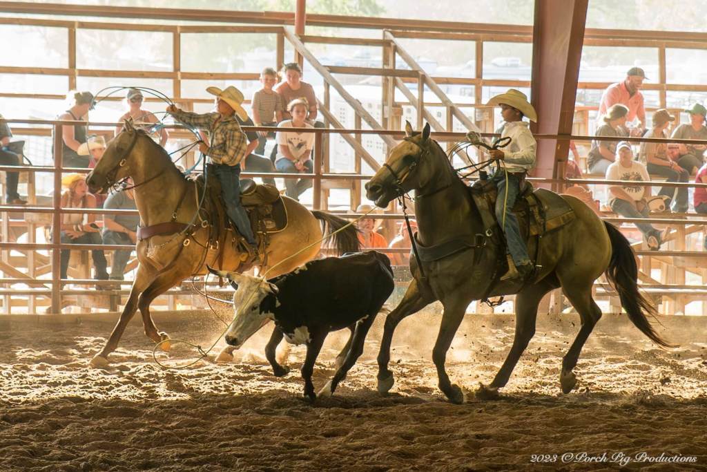 2023 Race Album| National Championship Chuckwagon Races | Bar of Ranch ...