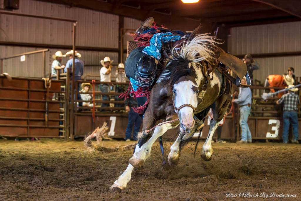 2023 Race Album| National Championship Chuckwagon Races | Bar of Ranch ...