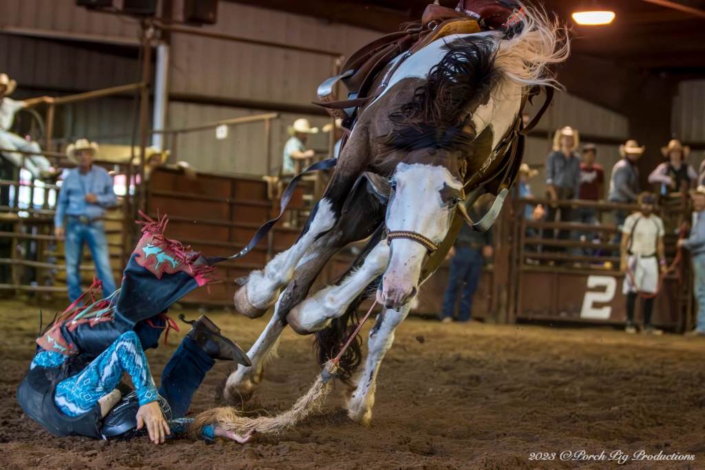 2023 Race Album| National Championship Chuckwagon Races | Bar of Ranch ...